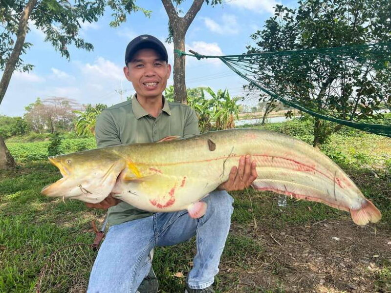 Hanoi: Catfish Luring Experience with Round-Trip Transfer - Key Points