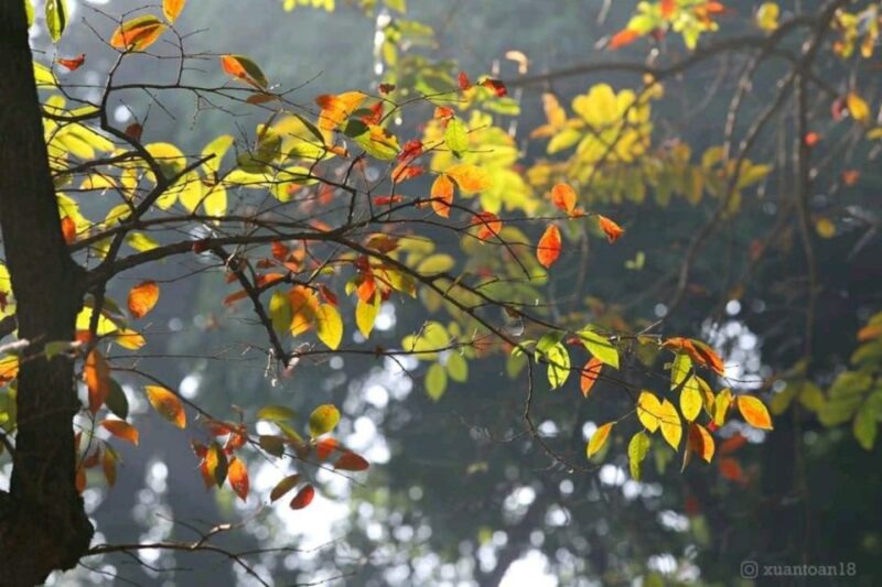 Hanoi: City Highlights Tour with Transfer and Lunch - Who Is This Tour Best For?