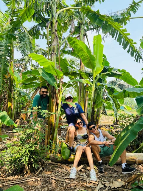 Hanoi City Tour and Countryside 4,5 Hours - Final Thoughts