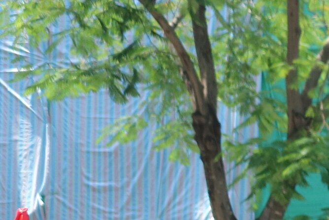 Hanoi City Tour Highlight, Train Street Combine visit Countryside - Price and Value