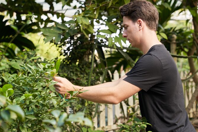 Hanoi Cooking Class in a Haven of Tranquility - Thom culinary - The Sum Up