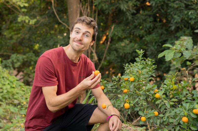 Hanoi Cooking Class in Haven of Tranquility - Thom culinary - The Sum Up