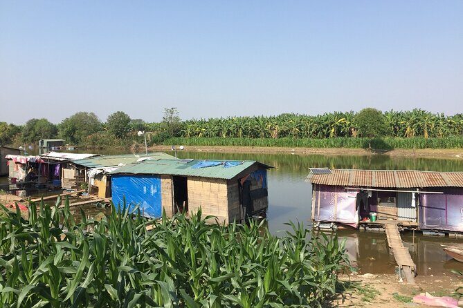 Hanoi Countryside in Banana Island - Top Tours & Activities - Who Will Love This Tour?