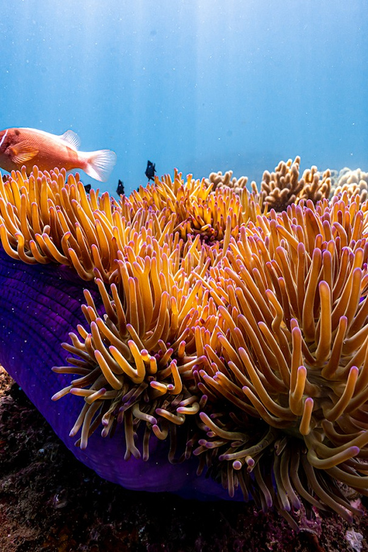 Hanoi Countryside Jeep Tours or Vespa Tours - FAQs about Hanoi Countryside Jeep/Vespa Tours