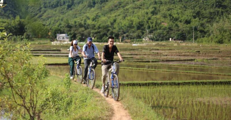 Hanoi: Cycling Tour of Hoa Lu, Trang An with Meals and Guide - Cycling and Local Life