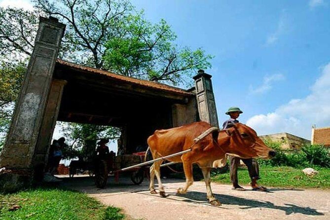 Hanoi: Duong Lam Historical Village Private Day Tour - An In-Depth Look at the Tour