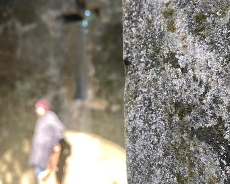 Hanoi Eco Tour: Ba Vi National Park Wonders & Tea Plantation - Key Points