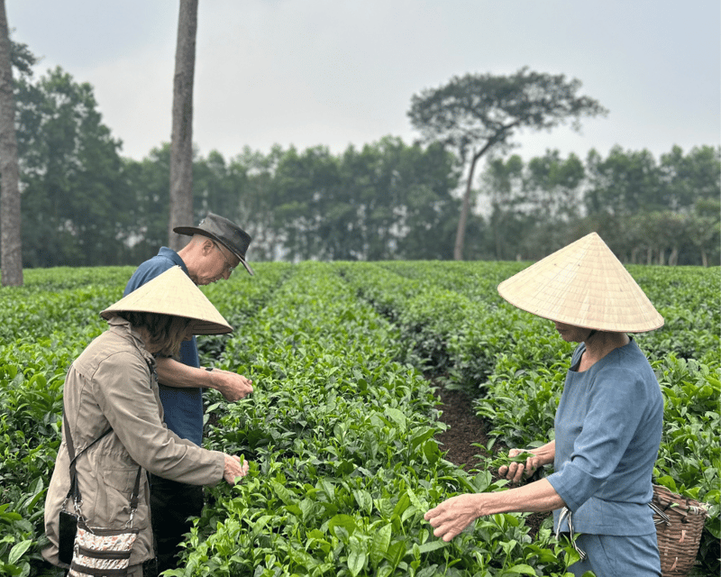Hanoi Eco Tour: Ba Vi National Park Wonders & Tea Plantation - The Value of the Tour
