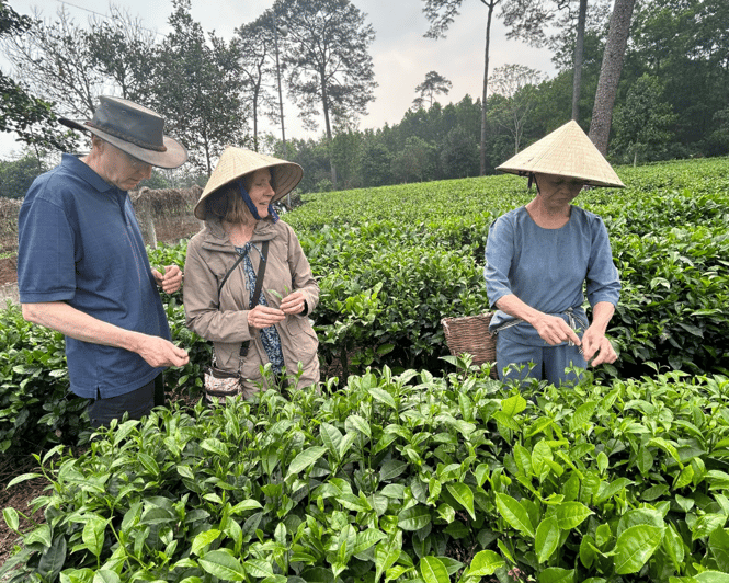 Hanoi Eco Tour: Ba Vi National Park Wonders & Tea Plantation - Who Should Consider This Tour?