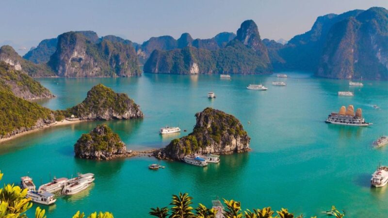 Hanoi Epic tour 6D5N Hanoi - Halong Bay - Ninh Binh - Sapa - Transportation & Logistics: What Does It Mean for You?
