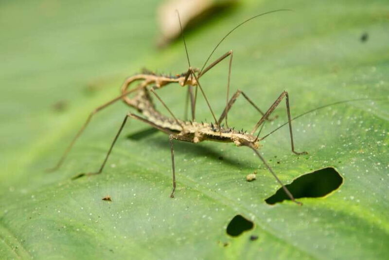 Hanoi: Full-day Cuc Phuong National Park Eco-adventure - Authentic Experiences and Authenticity