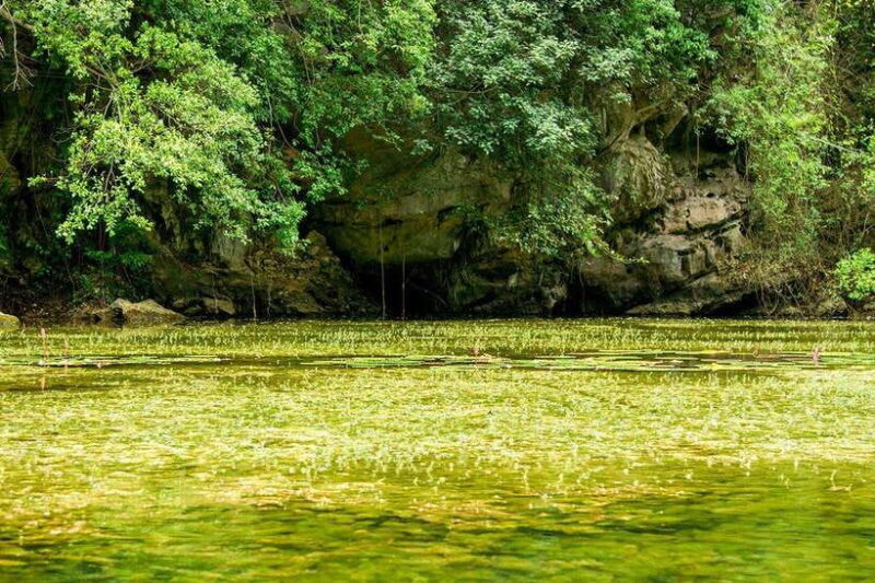 Hanoi: Full-day Exploring Hoa Lu And Trang An Grottoes - What’s the Value?