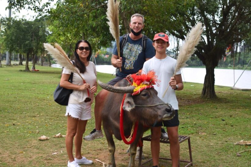 Hanoi: Full-day visit Hoa Lu, Tam Coc & Mua Cave with Meal - The Sum Up: Who Should Consider This Tour?