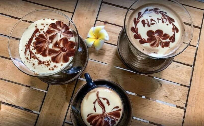 Hanoi: Guided Food Tour with Train Street Visit - Logistics & Practical Tips