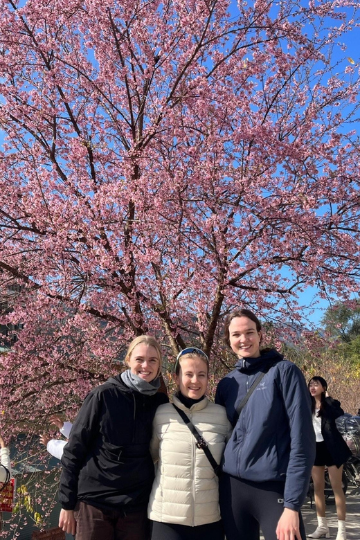 [Hanoi - Ha Giang] 3D2N - A Journey Through Northern Vietnam - Final Thoughts