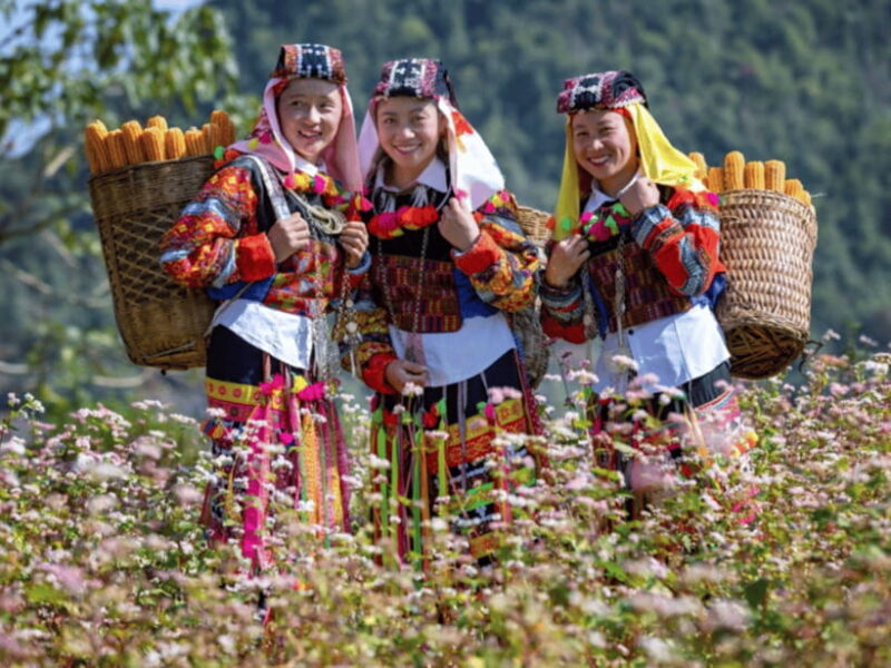 Hanoi: Ha Giang Loop Tour 3 Days 2 Nights with easy rider - Key Points