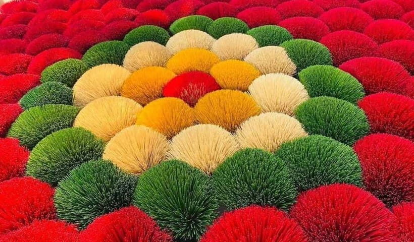 Hanoi: Incense Village & Ninh Binh Hoa Lu Trang An Day Trip - An In-Depth Look at the Experience