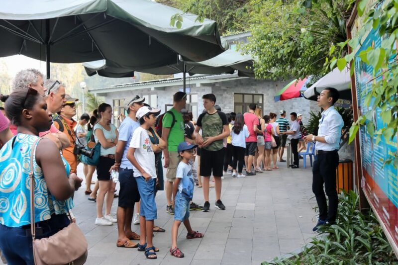 Hanoi: Islands & Caves Ha Long Cruise with Lunch & Kayaking - Practical Tips for Travelers