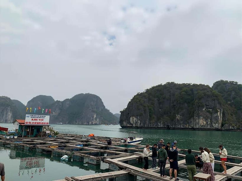 Hanoi: Lan Ha Bay Boat Tour - Lunch, Beach, Kayaking - FAQ: Practical Questions About the Lan Ha Bay Boat Tour