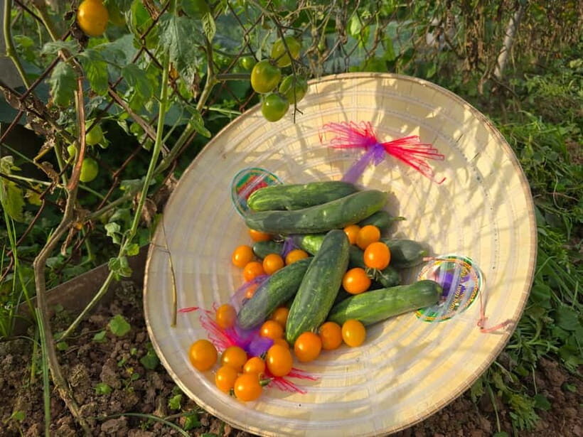 Hanoi: Local Farming Experience Day Tour - Key Points