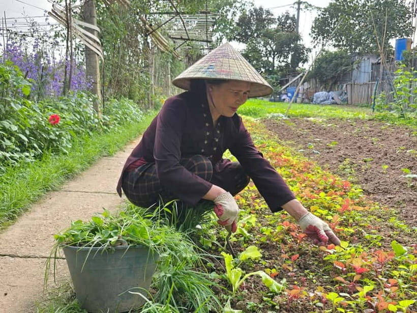 Hanoi: Local Farming Experience Day Tour - The Experience: Genuine and Thoughtful