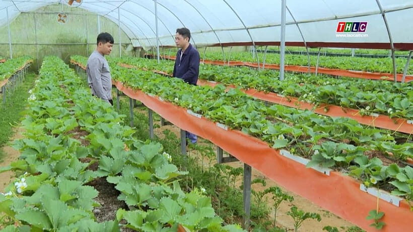 Hanoi: Local Farming Experience Day Tour - Who Will Enjoy This Tour?
