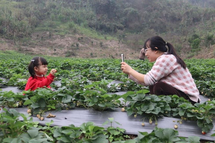 Hanoi: Local Farming Experience Day Tour - FAQ
