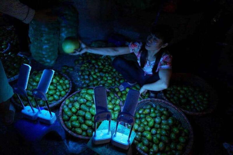 Hanoi: Long Bien Sunrise Photography Tour - Who Should Consider This Tour?