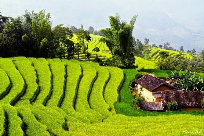 Hanoi - Mai Chau Private Transfer - The Vehicle and Onboard Comfort