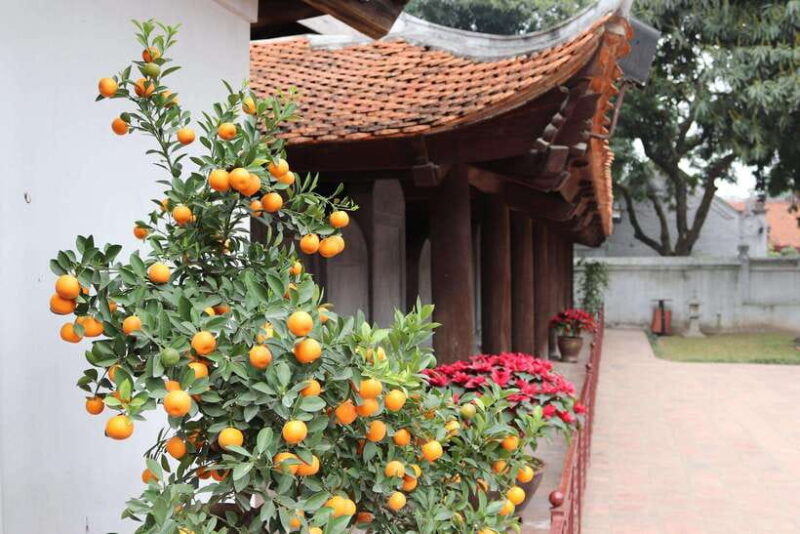 HANOI MOTORBIKING TO TOURIST ATTRACTIONS & STREET FOOD TOUR - FAQ