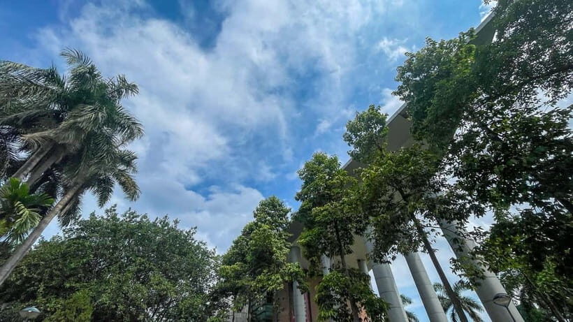 Hanoi: Museum of Ethnology and Quang Phu Cau Incense Village - Introduction: Why This Tour Stands Out