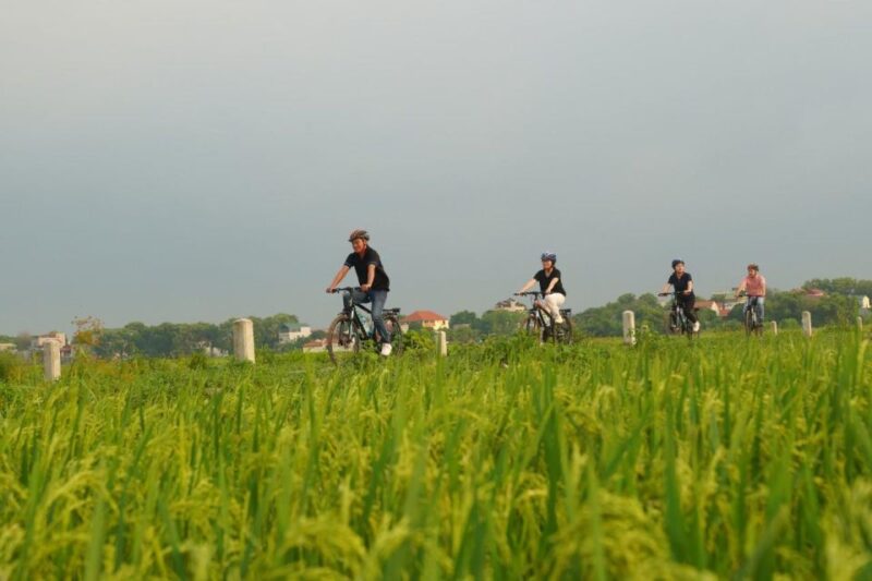 Hanoi: Ninh Binh Full-Day Visit Hoa Lu, Tam Coc and Mua Cave - Who Should Consider This Tour?