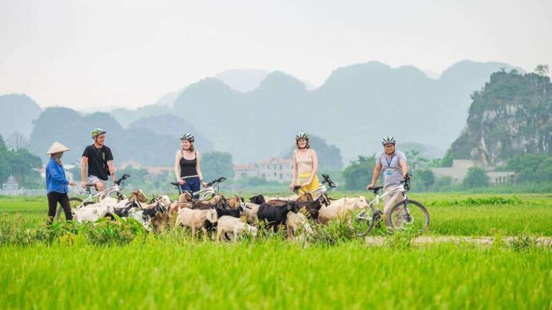 Hanoi: Ninh Binh, Hoa Lu, Tam Coc with Hanoi food tour - What Makes This Tour Stand Out