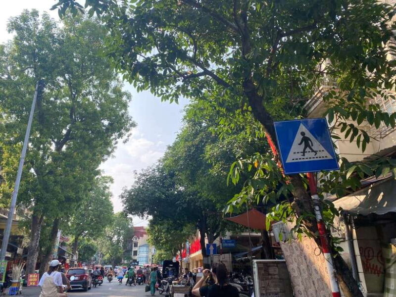 Hanoi Old Quarter Cultural Walking Tour & Water Puppet Show - What Travelers Say