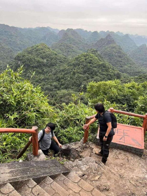 Hanoi: Pearl Island of Cat Ba 2-Day Cruise with Kayaking - Analyzing the Value: What You’re Getting for $157