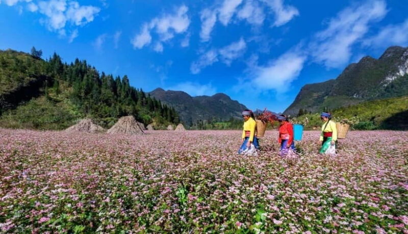 Hanoi: Private or Group 3-Days Ha Giang with motorbike tour - Key Points