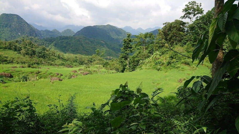Hanoi Pu Luong Nature Reserve 2 Days 1 Night Tour - Value and Pricing