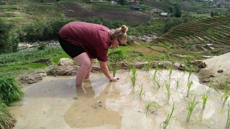 Hanoi- SaPa: 3-Day Homestay Trek to Explore Ethnic cultures - Exploring the 3-Day Homestay Trek from Hanoi to Sapa: An Authentic Journey into Vietnam’s Ethnic Cultures