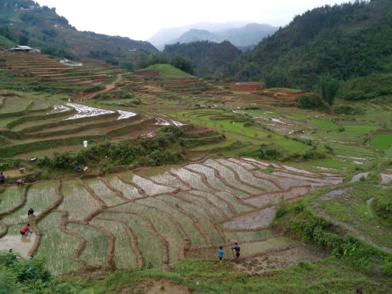 Hanoi- SaPa: 3-Day Homestay Trek to Explore Ethnic cultures - Authenticity and Reviews: What Past Travelers Say