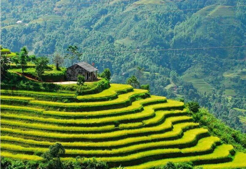 Hanoi: Sapa Highlights 2-Day Trekking Tour - Key Points