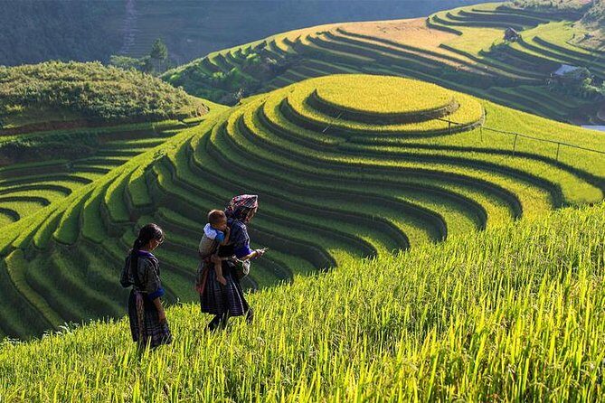 Hanoi - Sapa One Way Private Transfer - Key Points