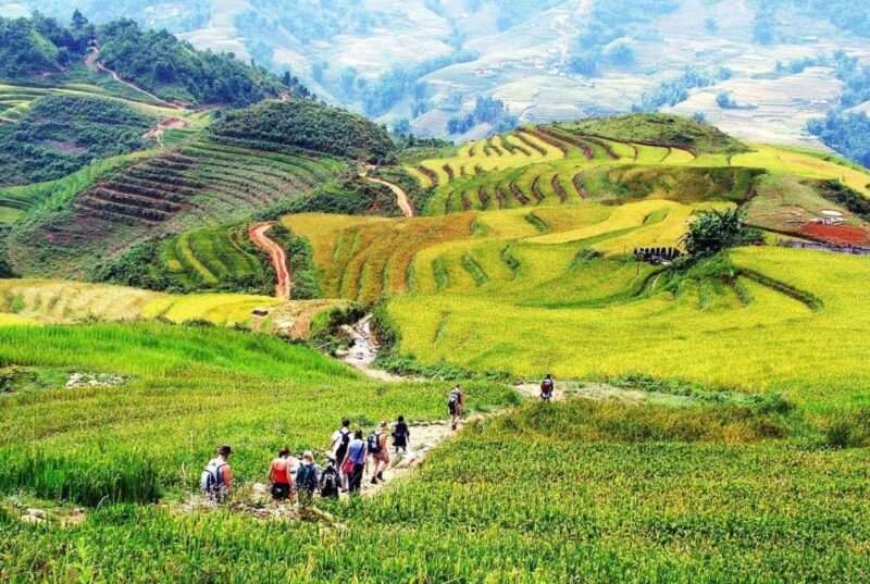 Hanoi: Sapa Trekking 2 Days 1 Night - Sleeper Bus from Hanoi - The Bottom Line: Is This Tour Right for You?