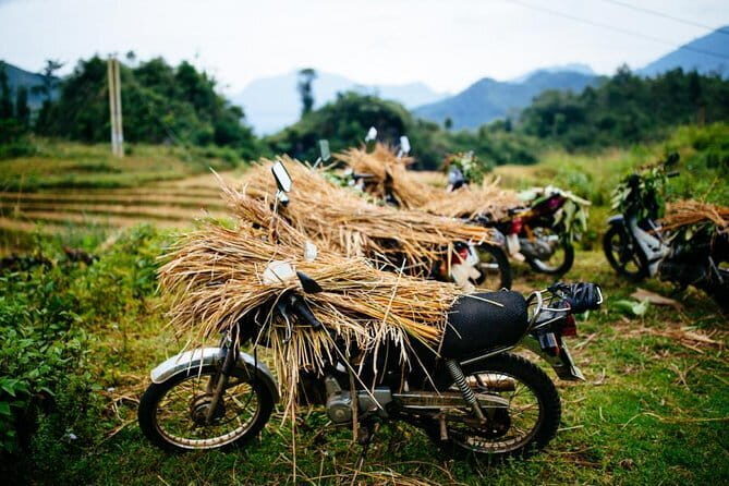 Hanoi Sapa Valley  Cat Cat Village - Fansipan Legend 4D3N - An In-Depth Look at the Itinerary