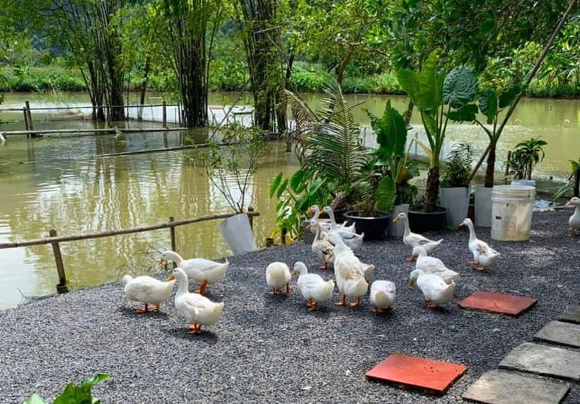 Hanoi: Scenic 1-Day Motorbike to Ninh Binhs Hidden Gems - Analyzing the Value and Experience