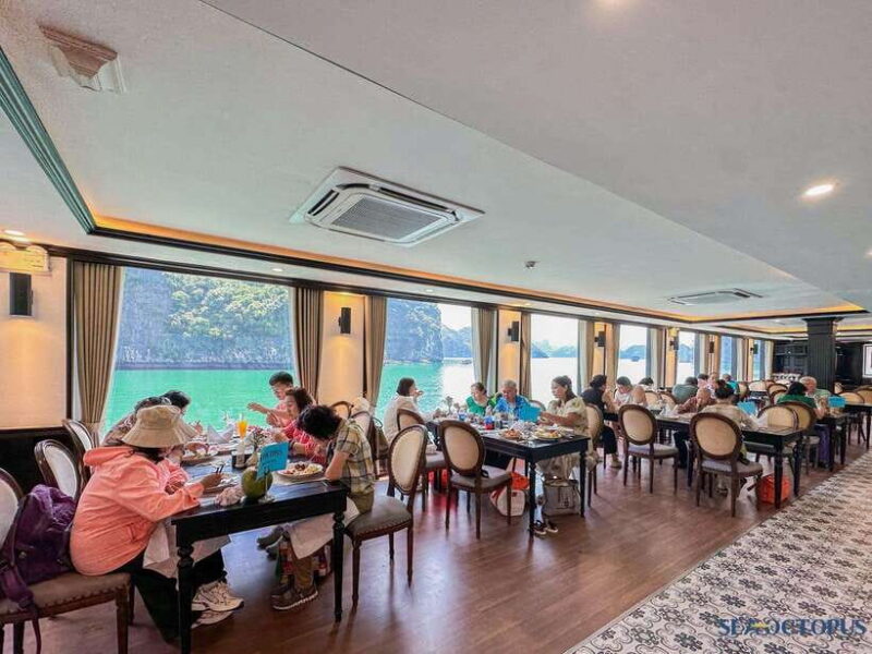 Hanoi to Halong Bay: TOP Luxury Cruise with Buffet Lunch - Final Thoughts: Who Should Consider This Tour?