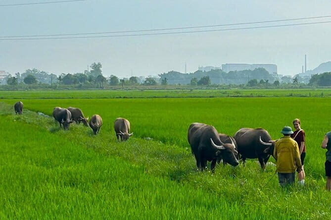 Hanoi to Ninh Binh: 1-Day Motorbike Adventure to Hidden Gems - Authenticity and Travel Tips
