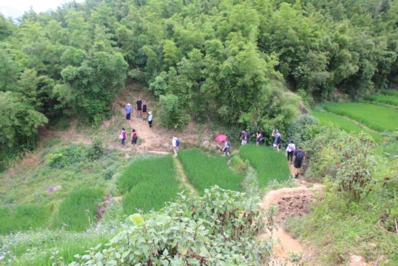 Hanoi to Sapa: Terraced Fields, Culture & Cuisine  3 Days - The Sum Up: Who Should Consider This Tour?