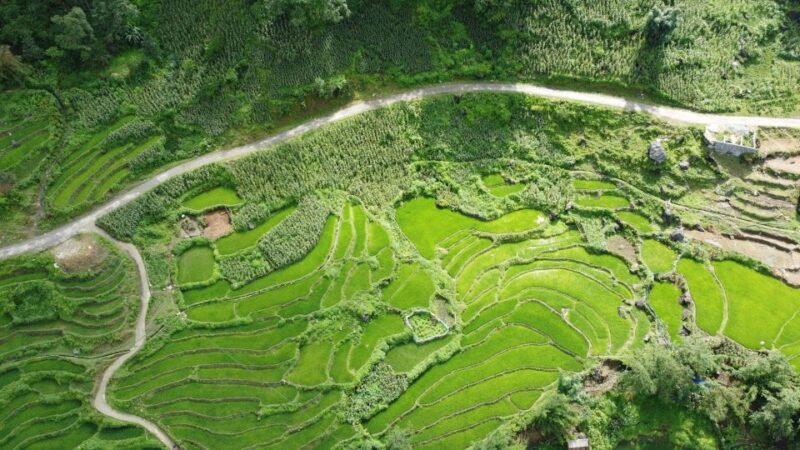 Hanoi to Sapa: Terraced Fields, Culture & Cuisine 3 Days - Key Points