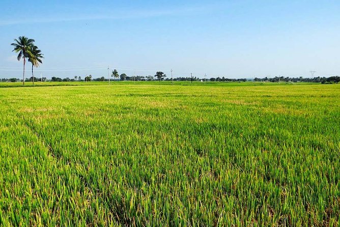 Hanoi Vespa Countryside Tour With Female Ao Dai Riders Half Day - FAQs: Practical Questions Answered