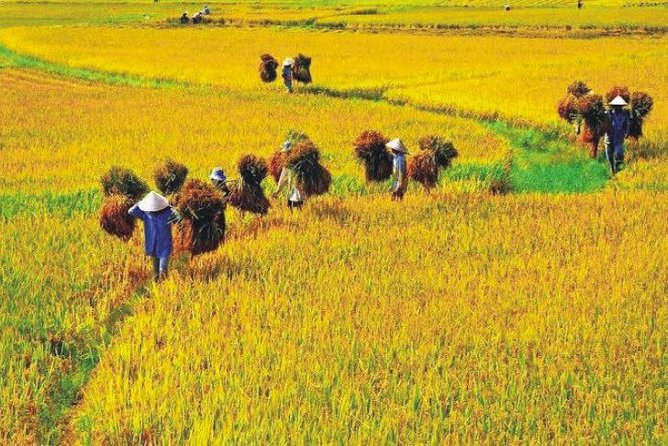 Hanoi Vespa Countryside Tour With Female Ao Dai Riders Half Day - Final Thoughts